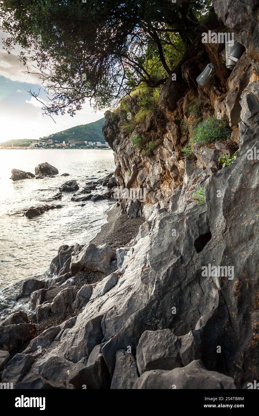 Sea cliff trees on coastline hi-res stock photography and images - Alamy