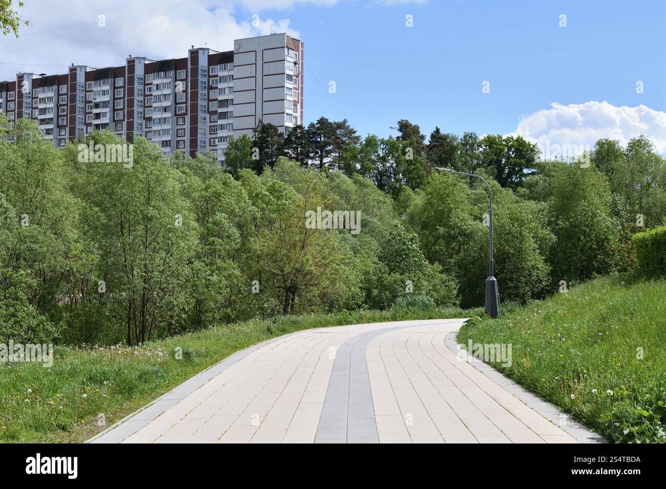 City boulevard with trees and walking path Stock Photo - Alamy