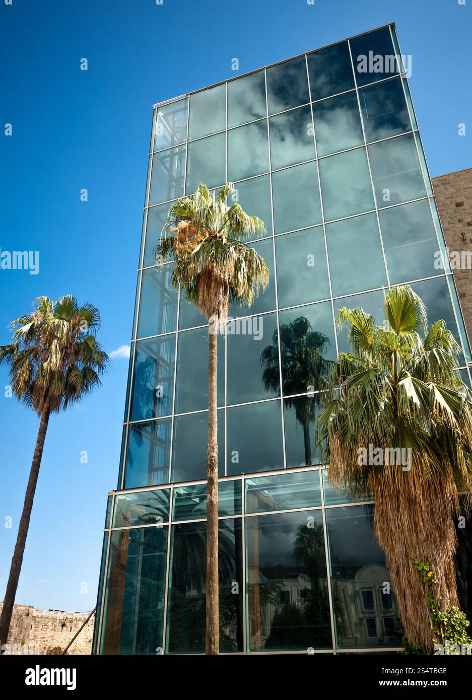 Glass windows reflecting palm trees and sky hi-res stock photography ...