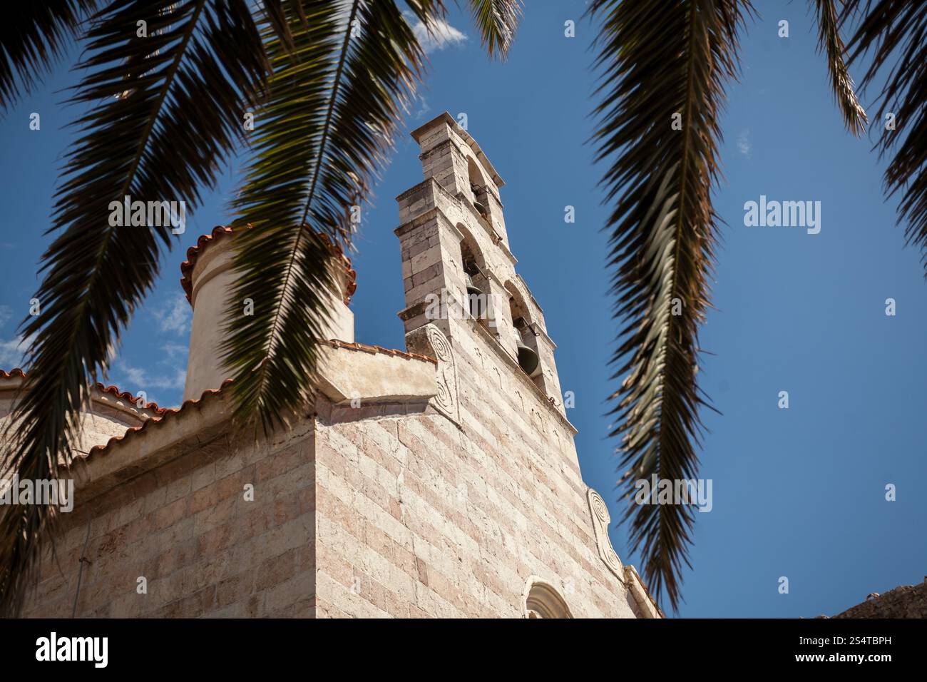 View building through palm leaves hi-res stock photography and images ...