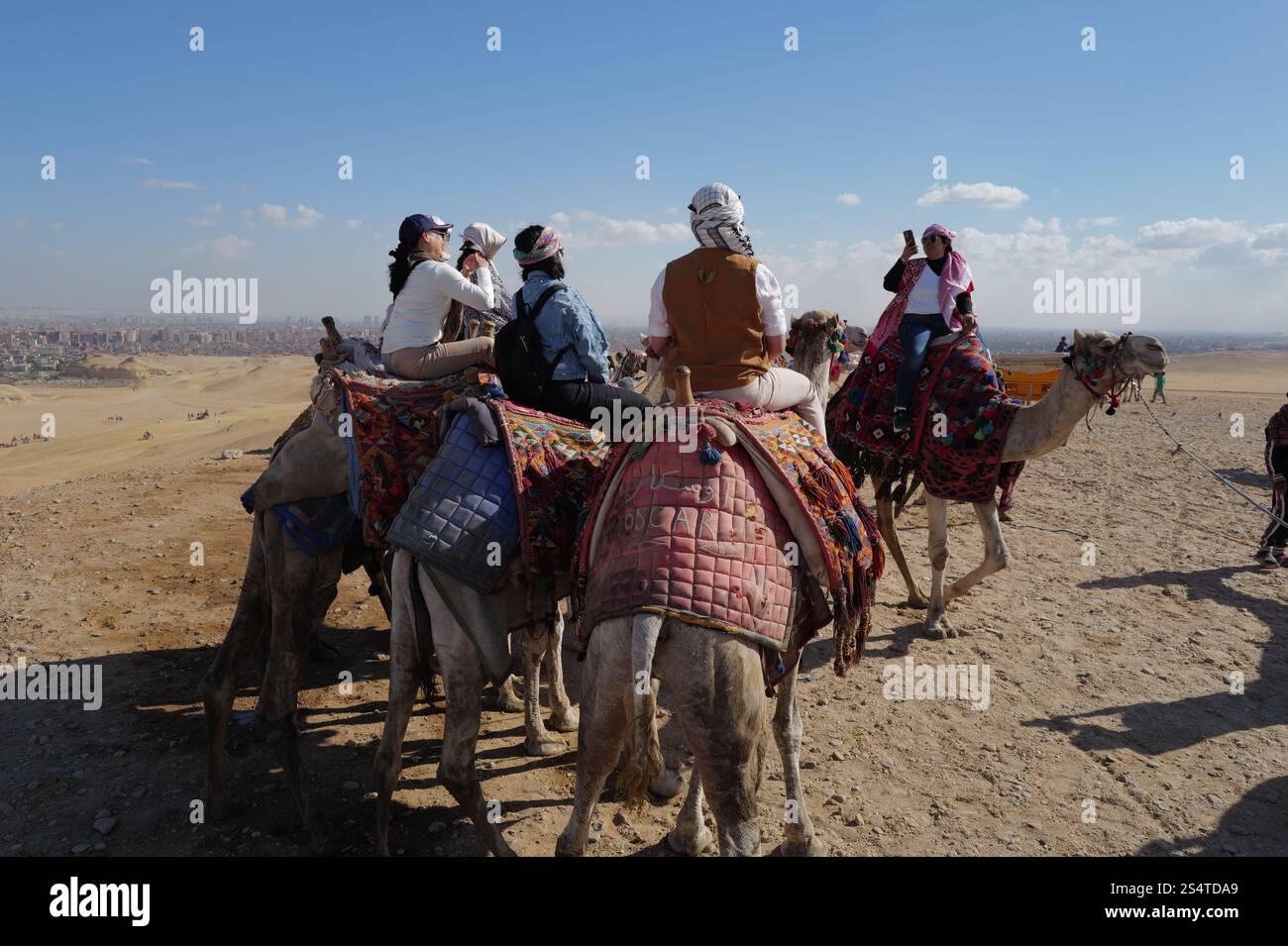 Around Metro-Cairo, Egypt along the river Nile, featuring camels ...