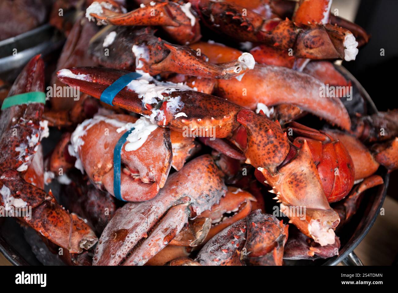 Lobster crab clams hi-res stock photography and images - Alamy