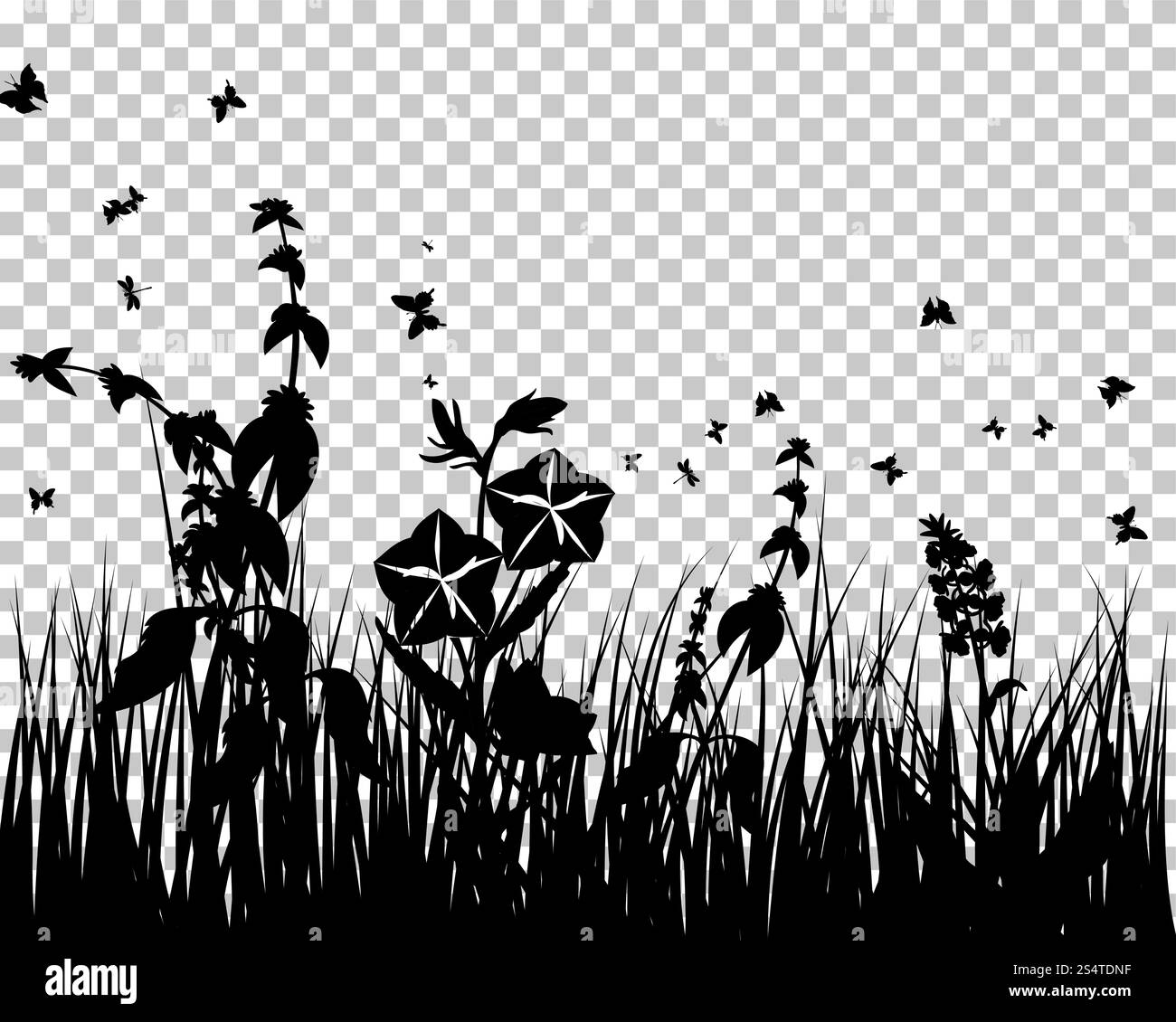 Meadow background with butterfly and flower. Vector illustration Stock ...