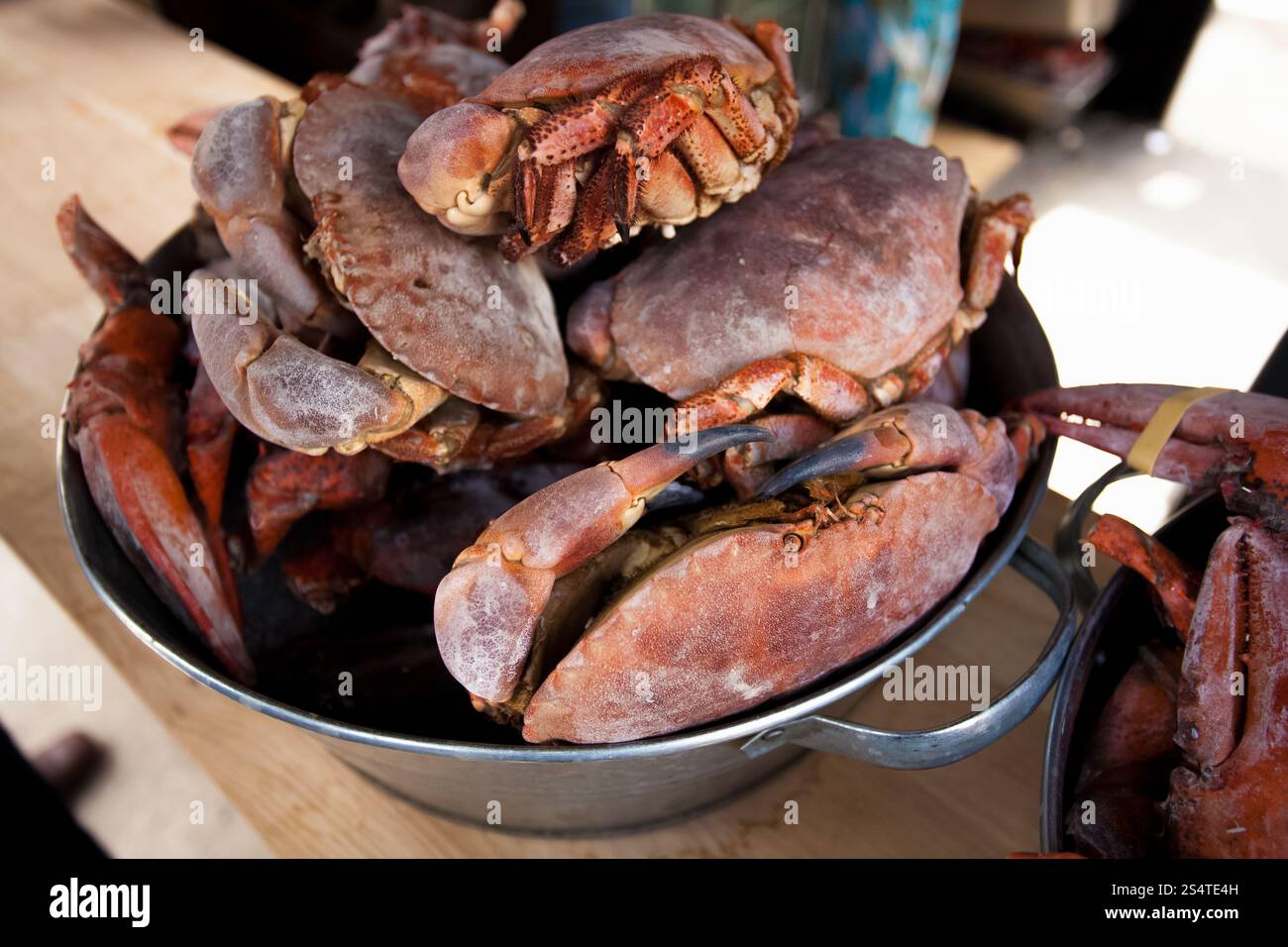 Photo of black crabs on kitchen at metal bucket Stock Photo - Alamy