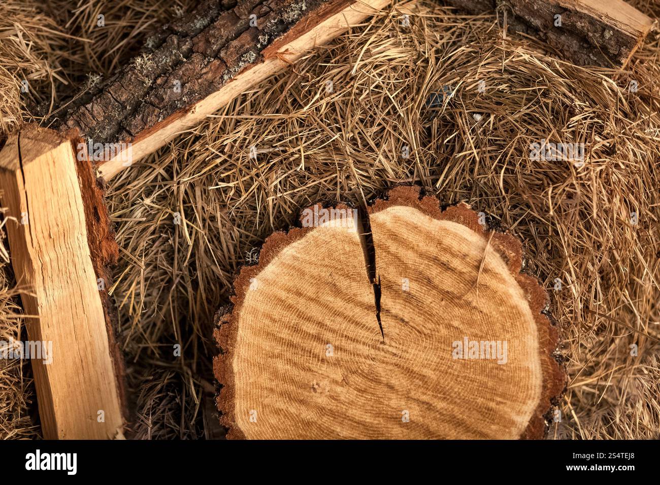 On photo teak wood hi-res stock photography and images - Alamy