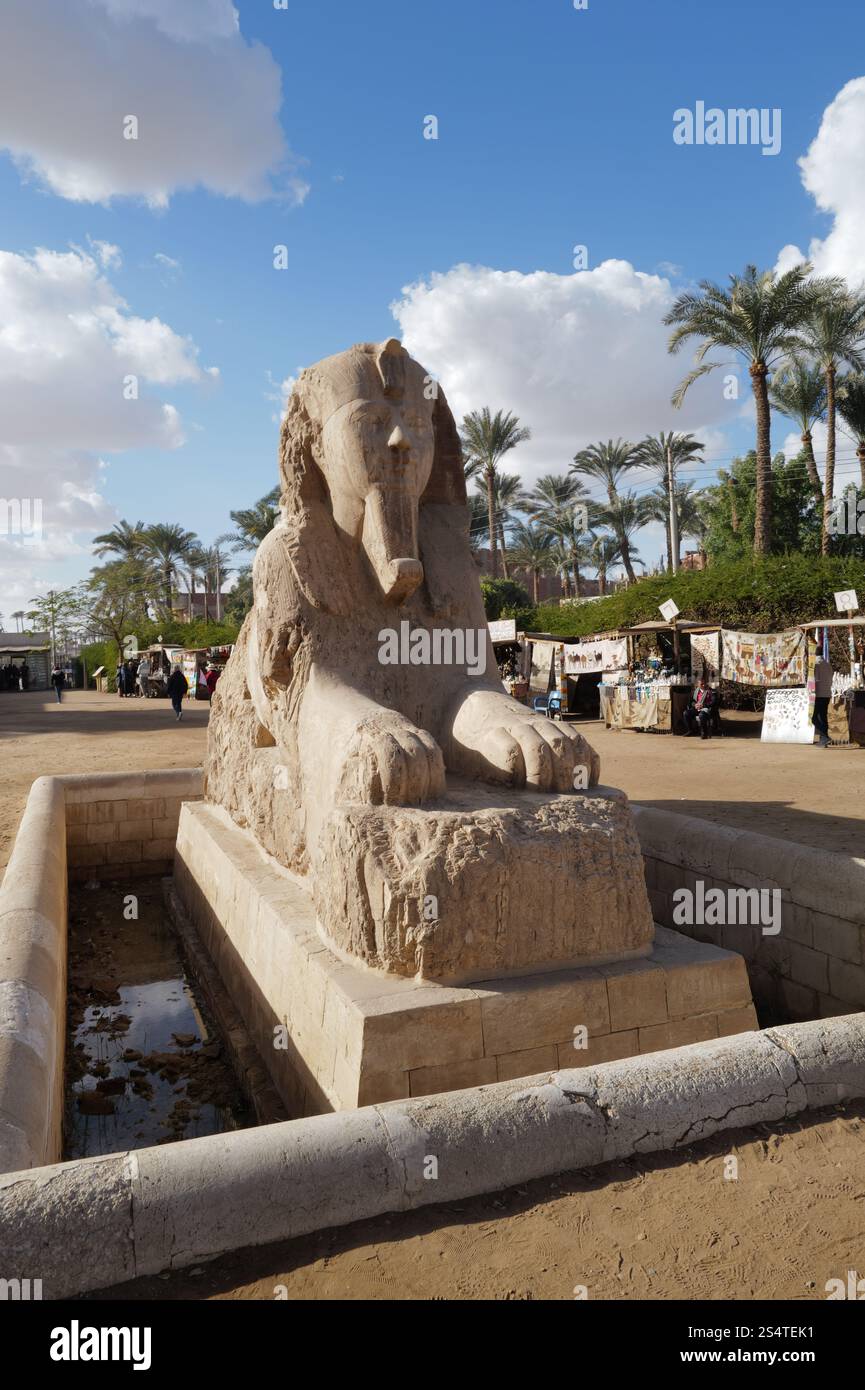 Around Metro-Cairo, Egypt along the river Nile, featuring camels ...