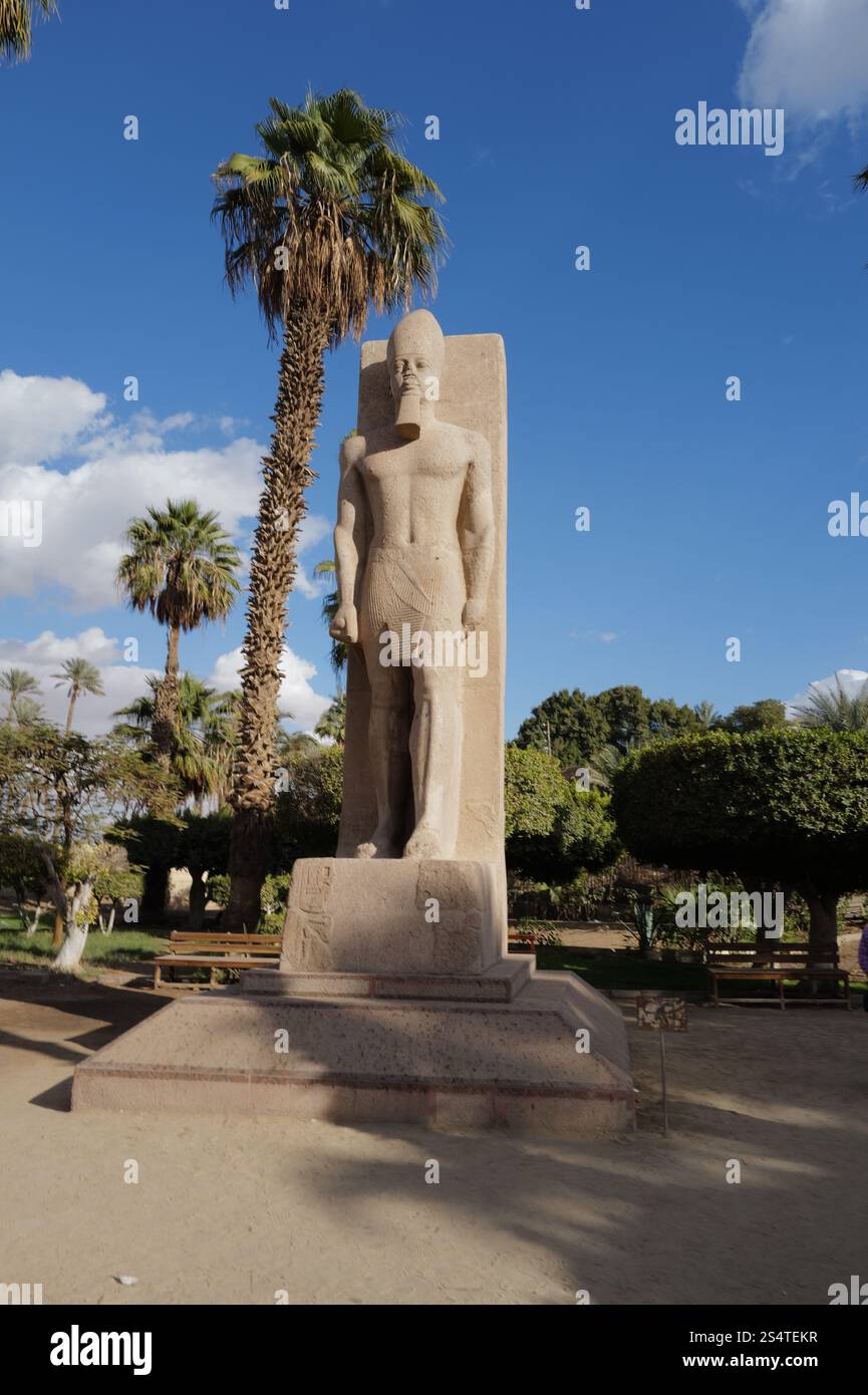 Around Metro-Cairo, Egypt along the river Nile, featuring camels ...