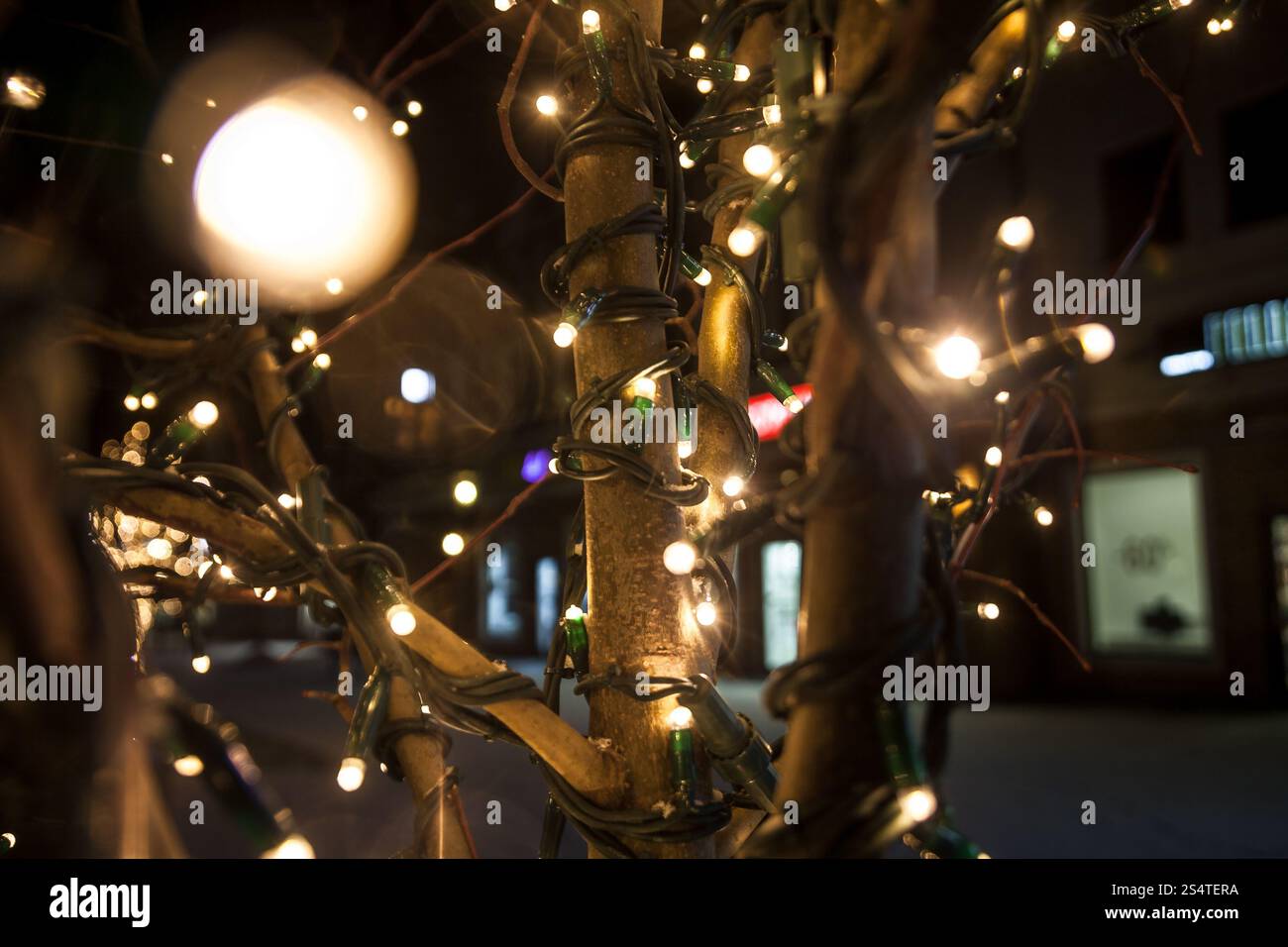 Sparkling tree light hi-res stock photography and images - Alamy