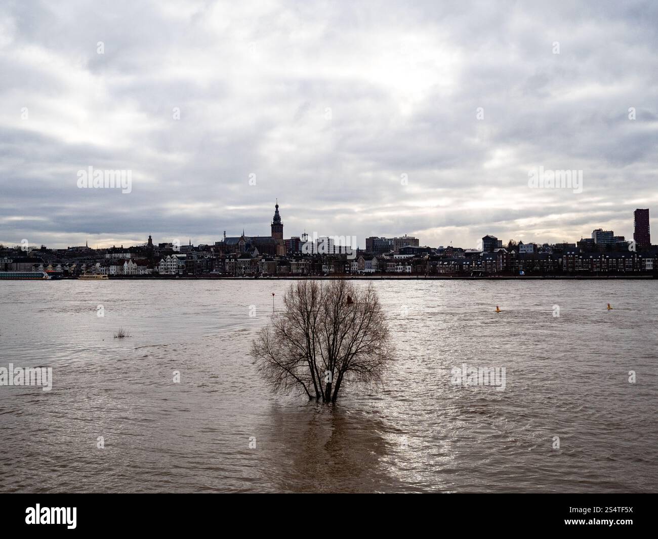 Nijmegen, Netherlands. 12th Jan, 2025. General view of a tree almost ...