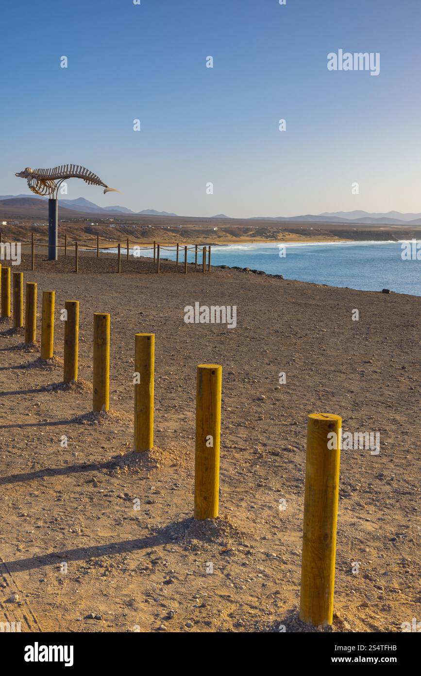 El Cotillo beach, Fuerteventura. It's a popular spot for surfers and ...