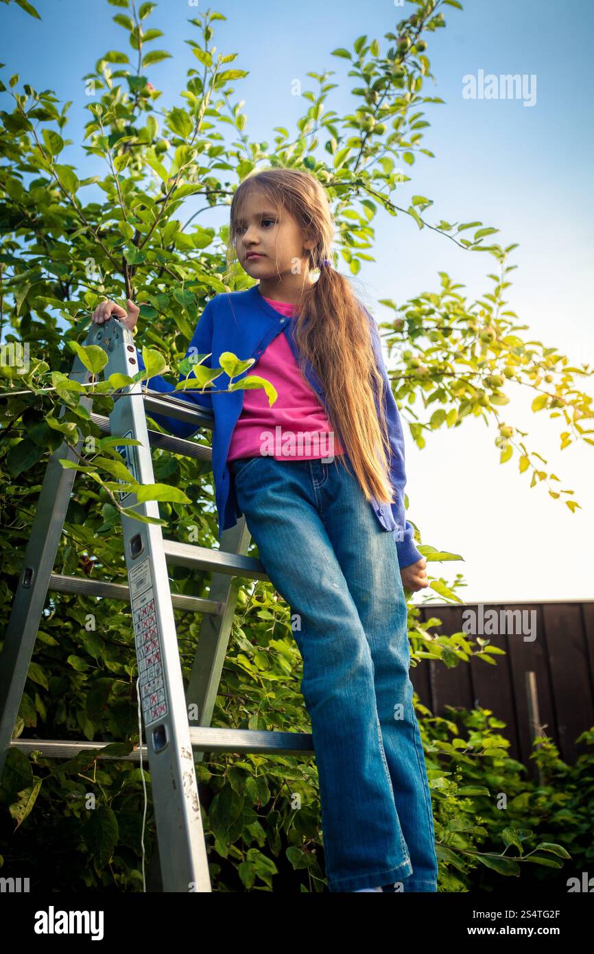 Cute young girl standing on ladder at apple garden Stock Photo - Alamy