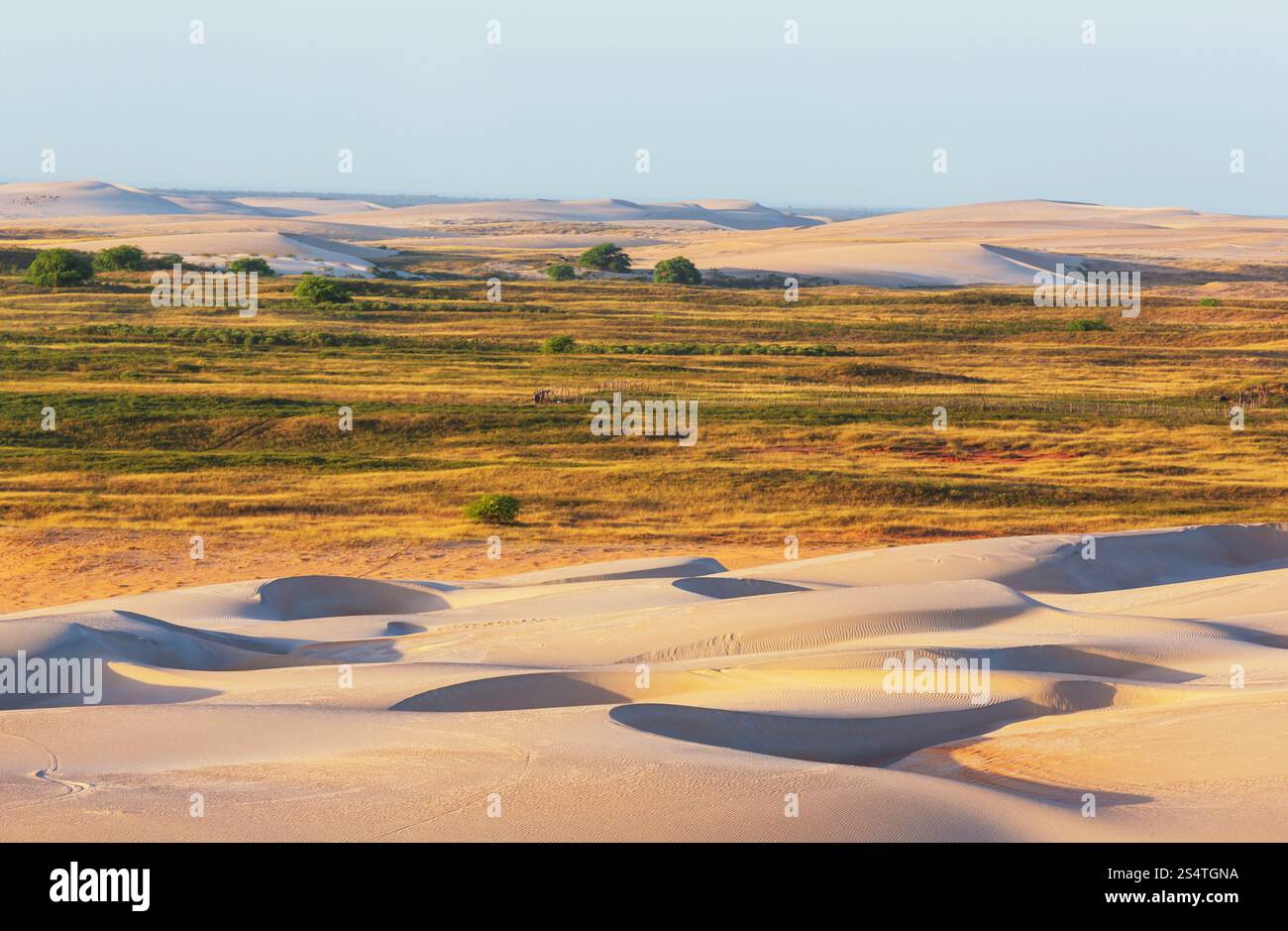 Sand dunes in northern Brazil at sunset Stock Photo - Alamy
