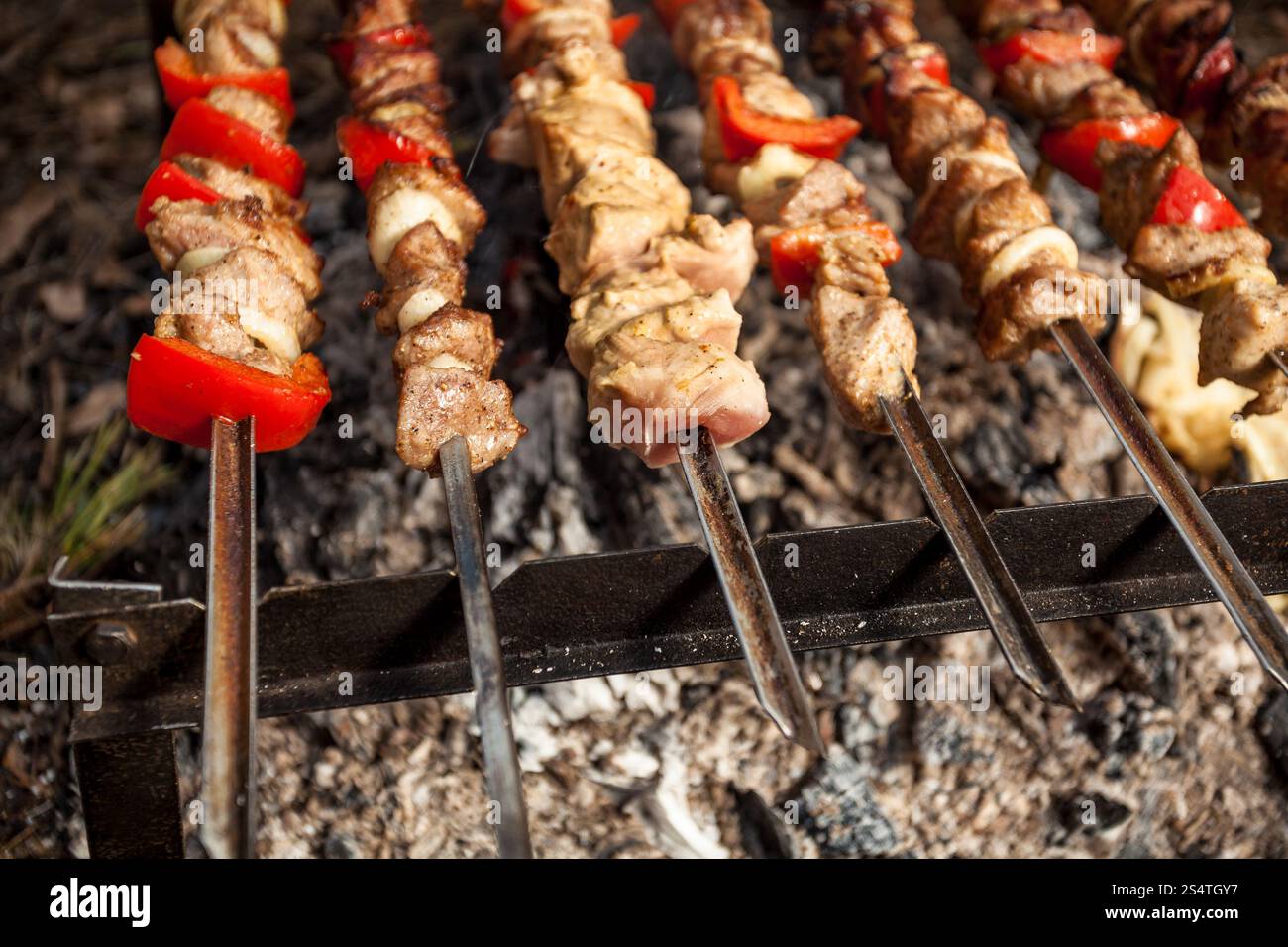 Closeup photo of meat on fire at forest Stock Photo - Alamy