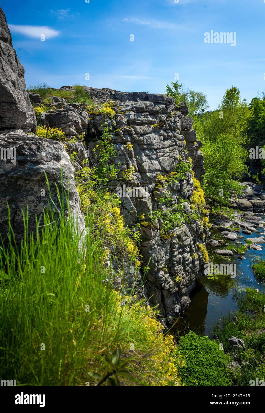 Vertical photo of high cliff on river grown with flowers and grass ...