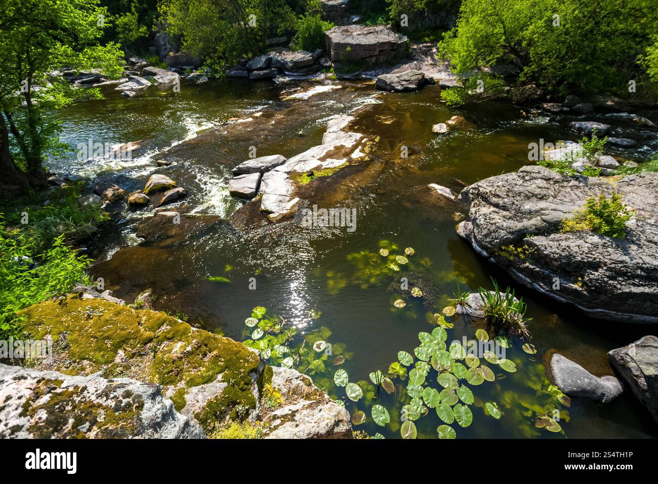 Beautiful landscape of algae growing in fast mountain river Stock Photo ...