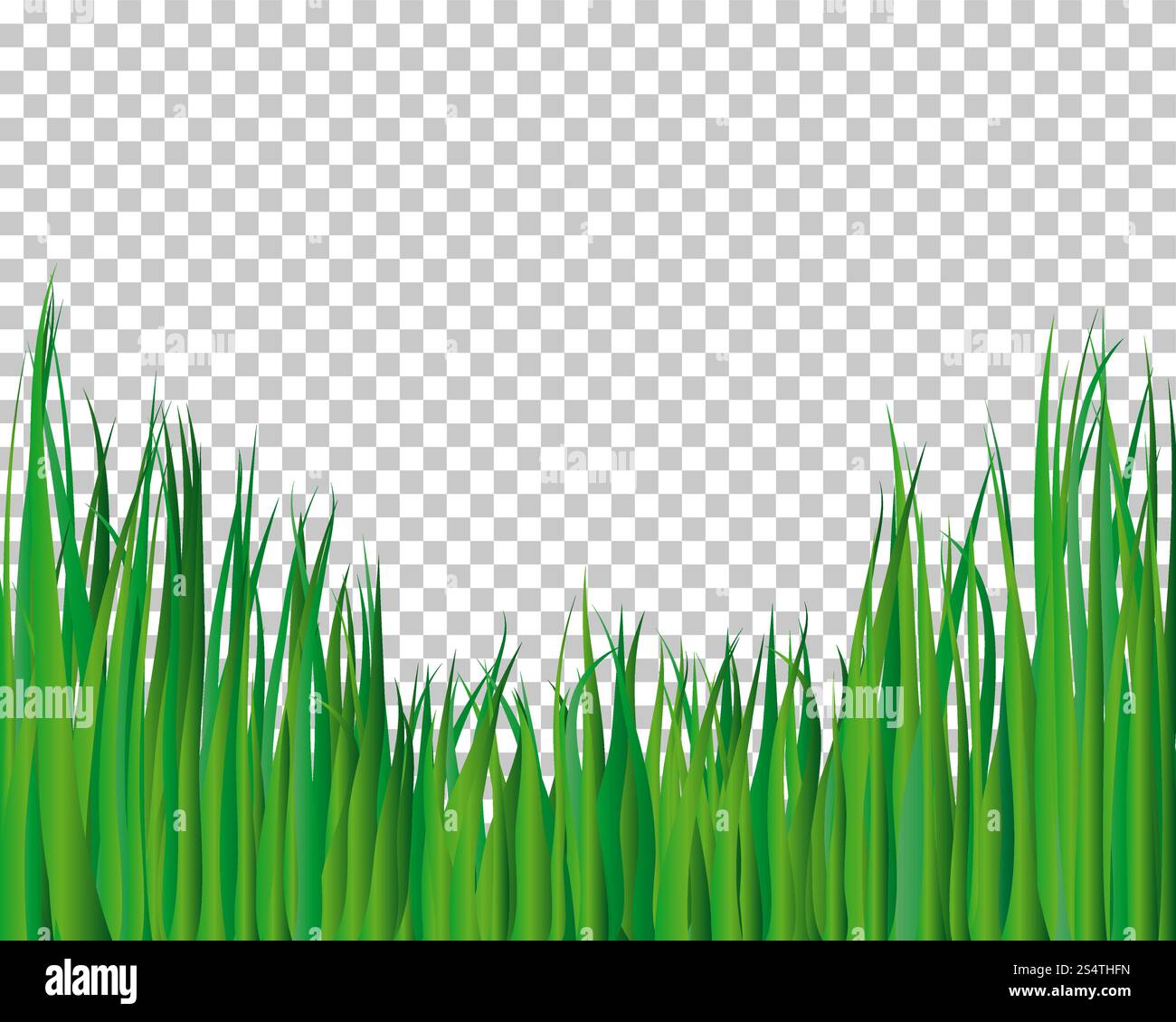 Grass background with transparency grid on back. Vector Illustration ...