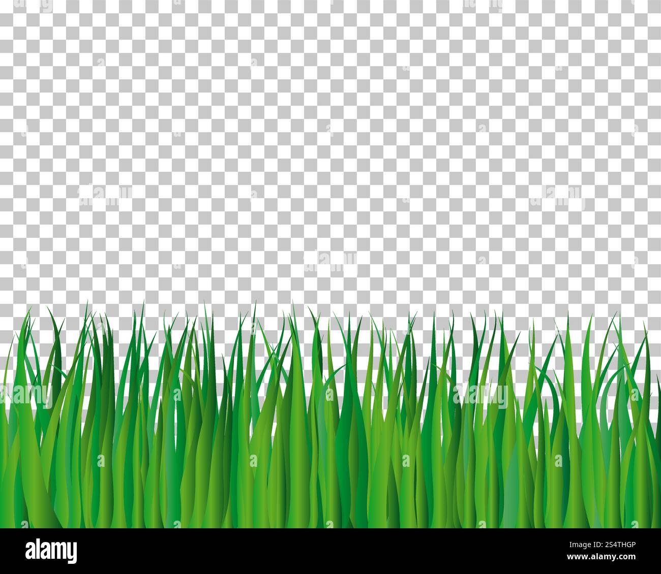 Grass background with transparency grid on back. Vector Illustration ...