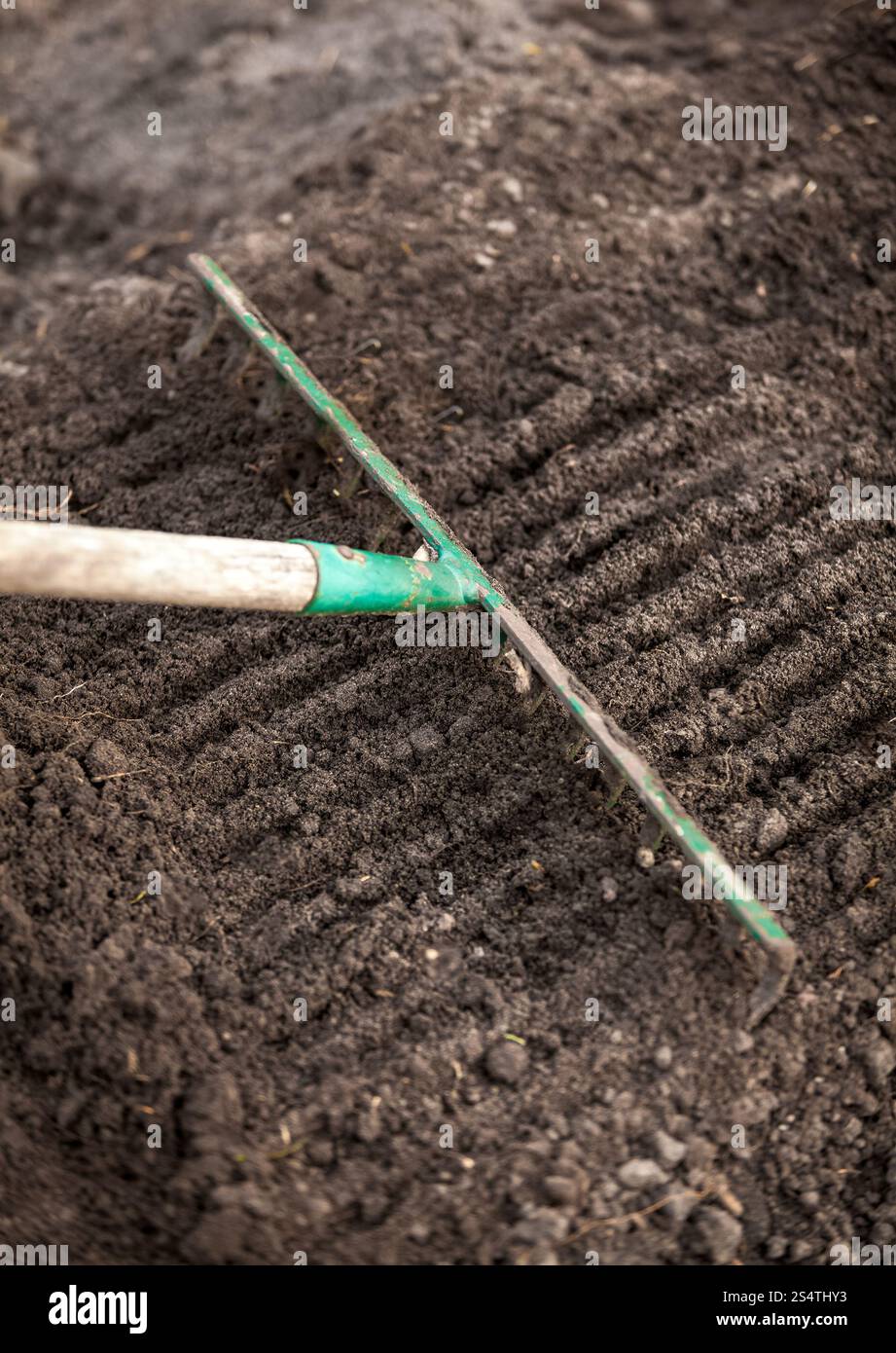 Closeup photo of metal garden rake Stock Photo - Alamy