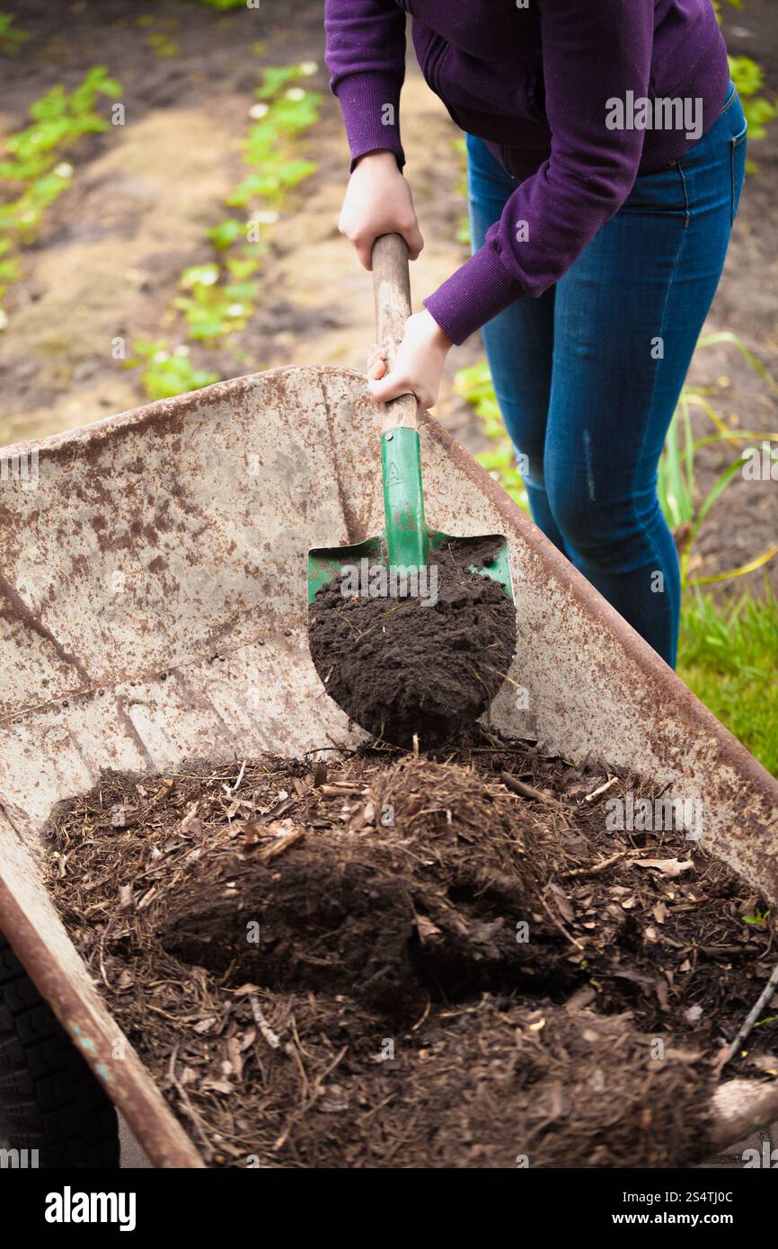Closeup photo of woman taking compost from wheelbarrow with shovel ...