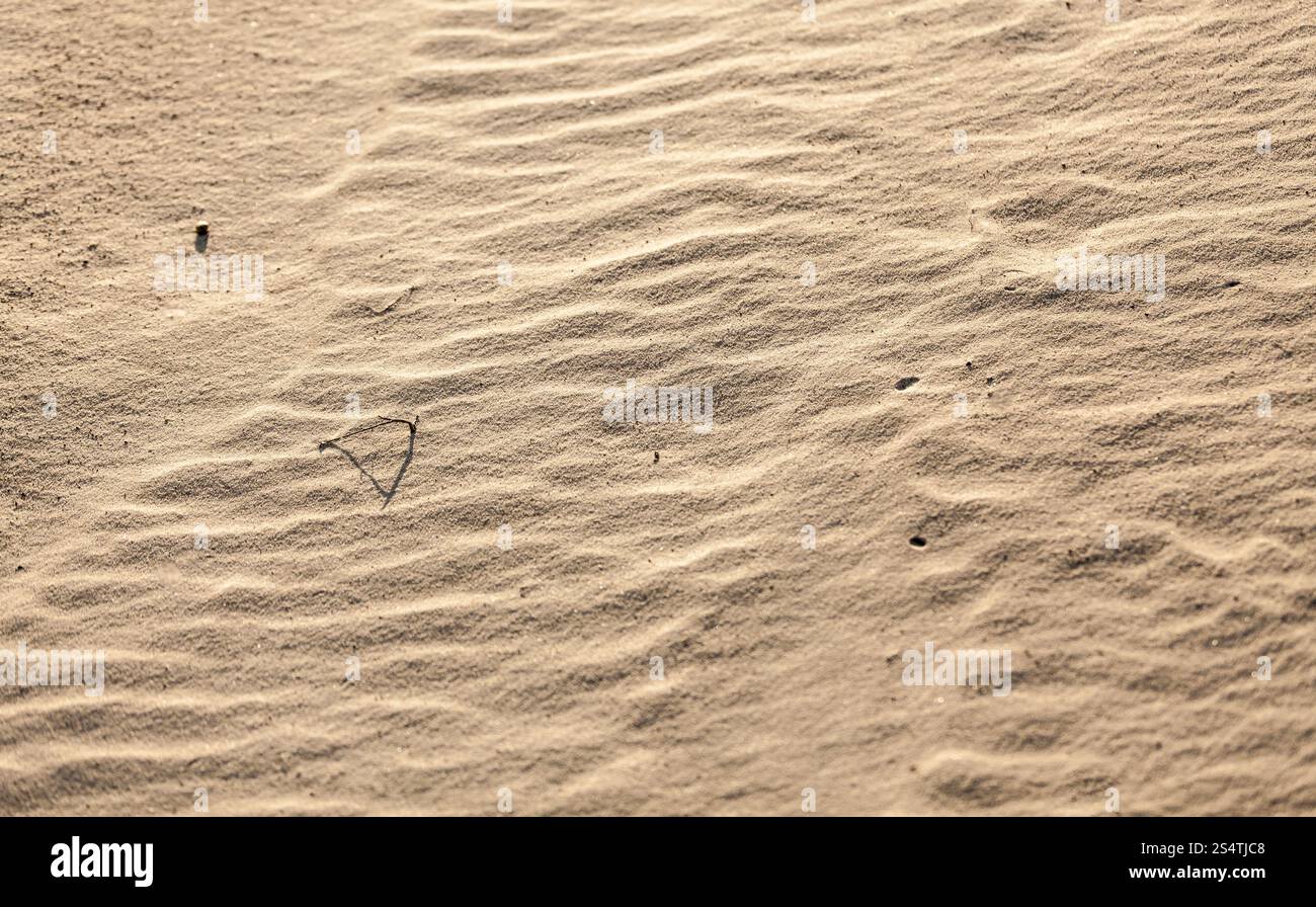 Dunes in sandy desert hot hi-res stock photography and images - Alamy