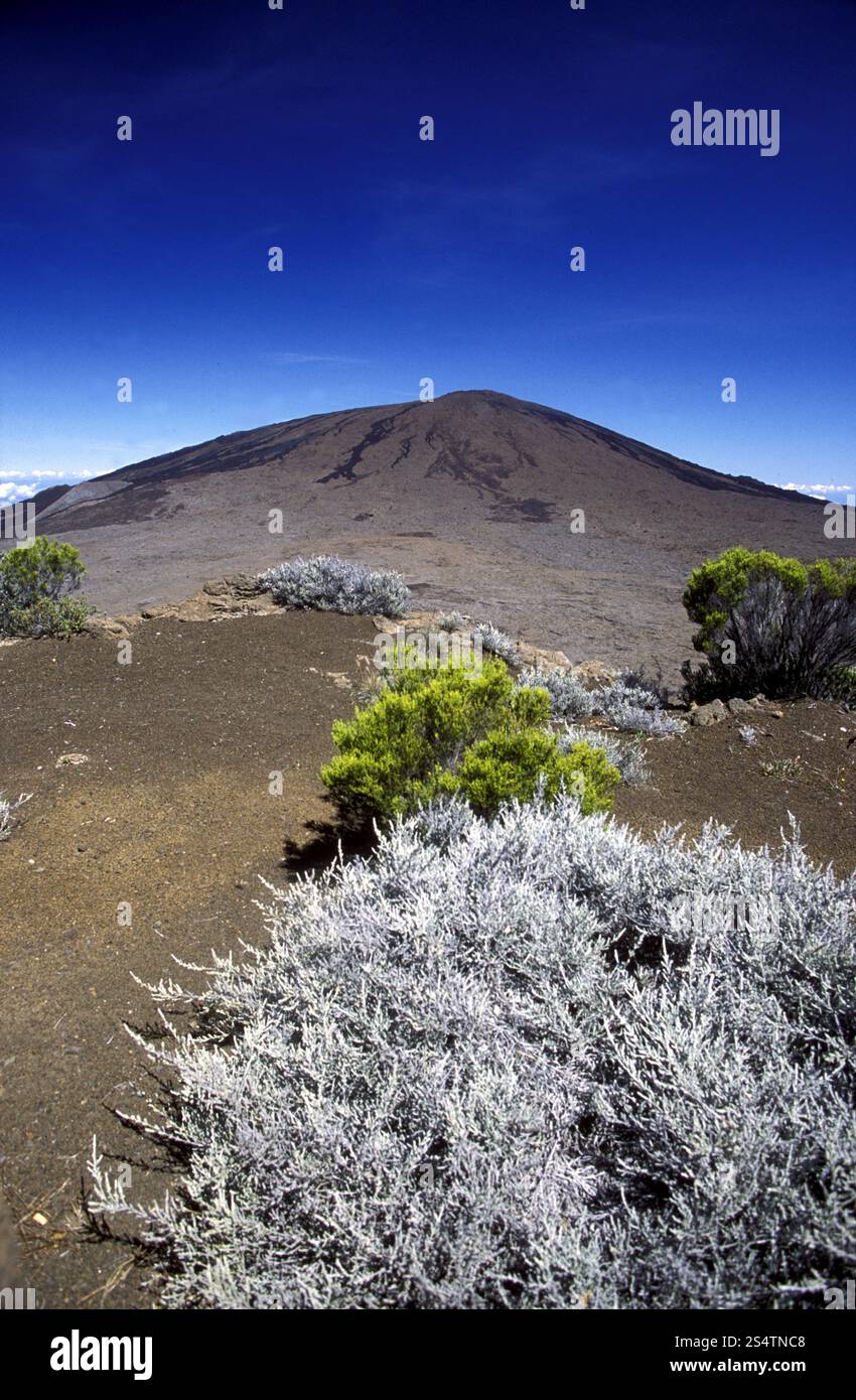 The Landscape allrond the Volcano Piton de la Fournaise on the Island ...