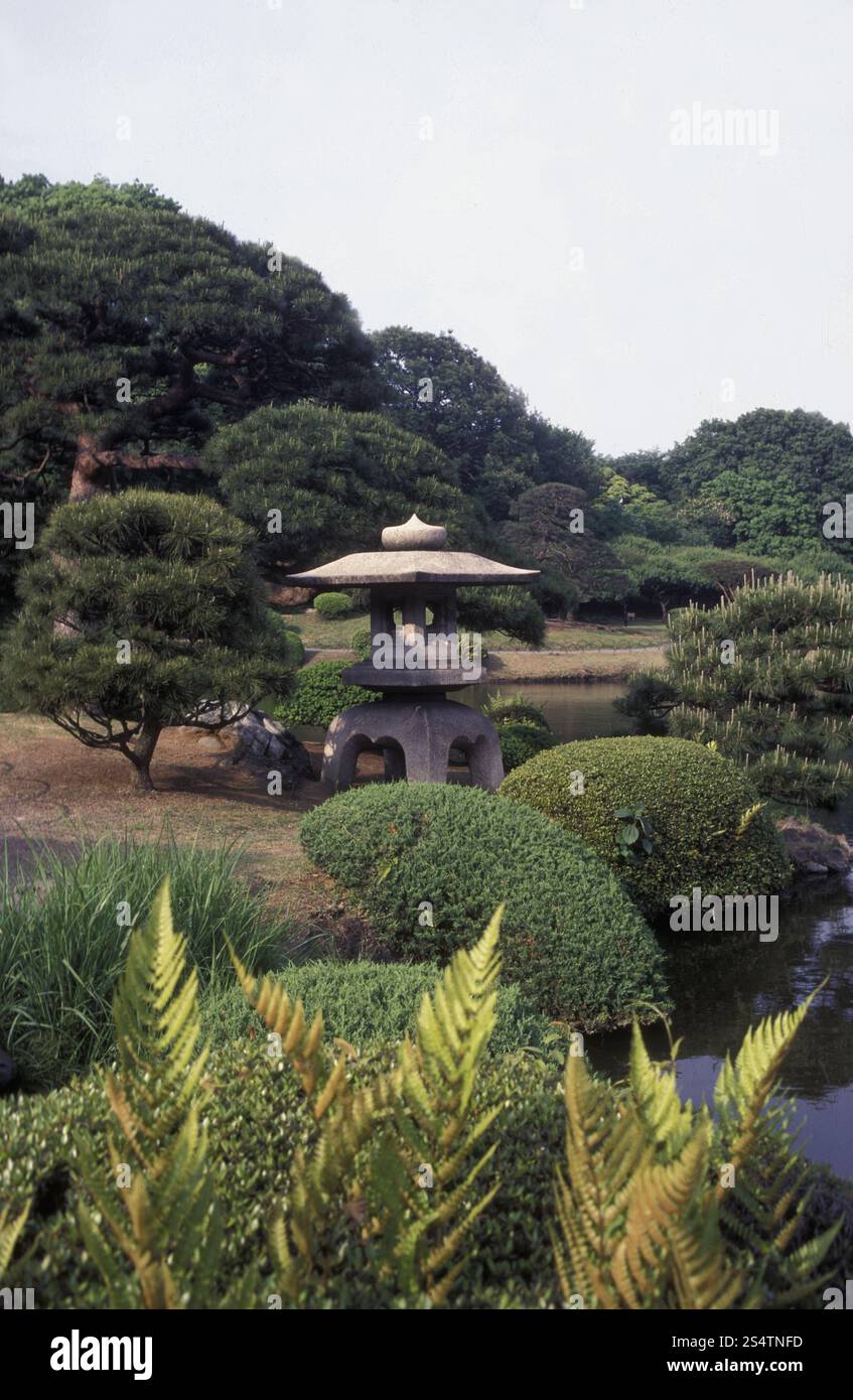 a Japanese parc in the City centre of Tokyo in Japan in Asia Stock ...