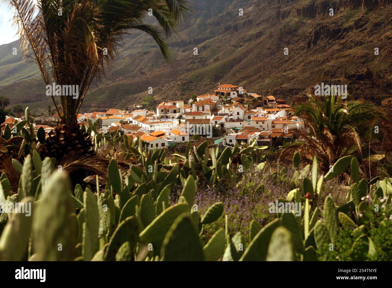 the mountain Village of Fataga in the centre of the Canary Island of ...