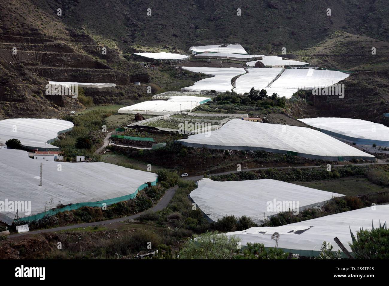 the Agraculture in the village of San Nicolas on The Gran Canary Island ...
