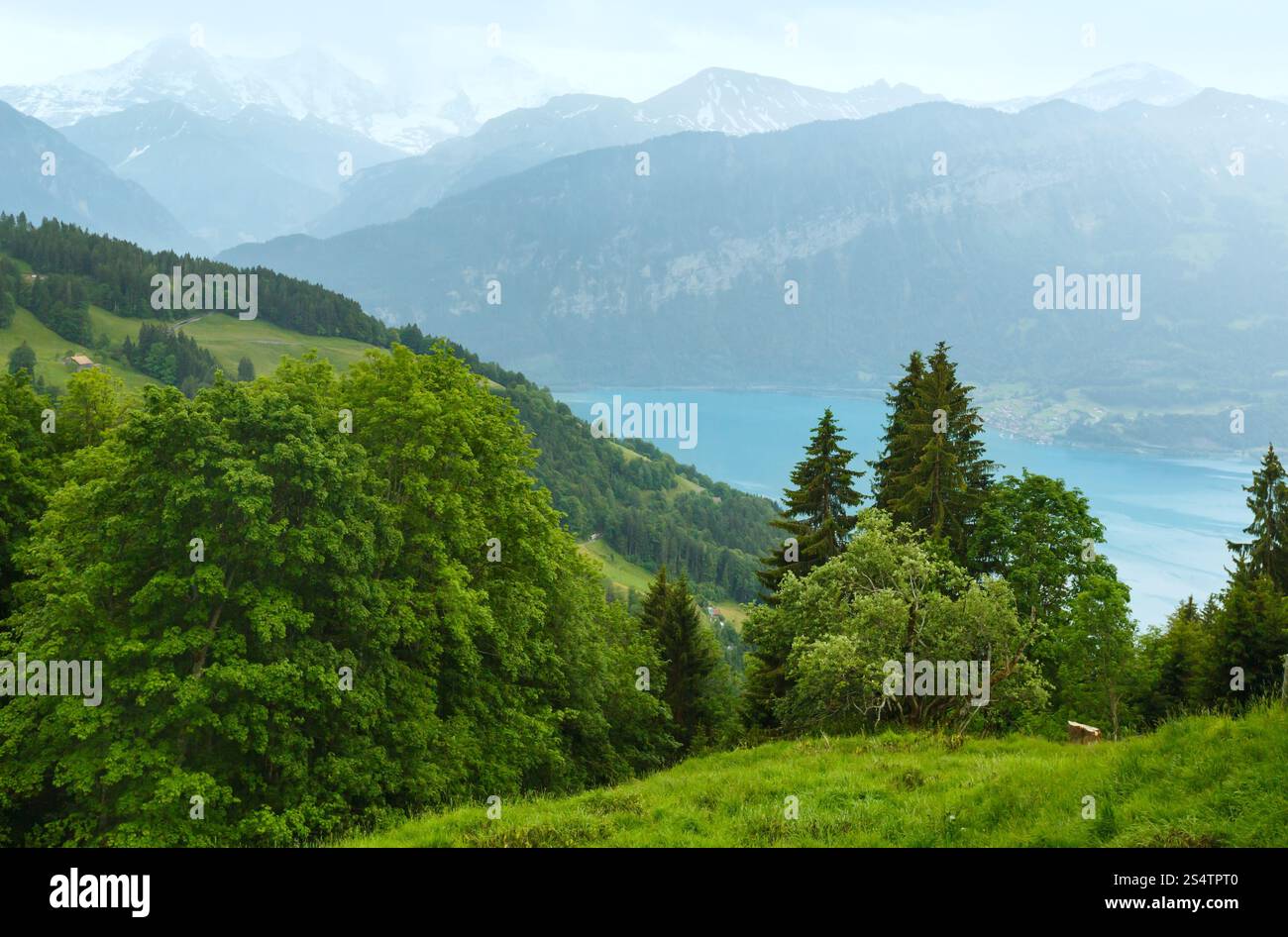 Lake Brienz or Brienzersee evening cloudy summer top view (Berne ...