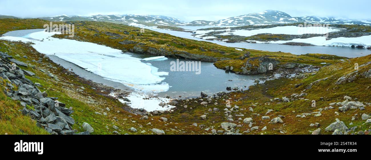 Noth Norway mountain summer tundra valley and small lakes Stock Photo ...