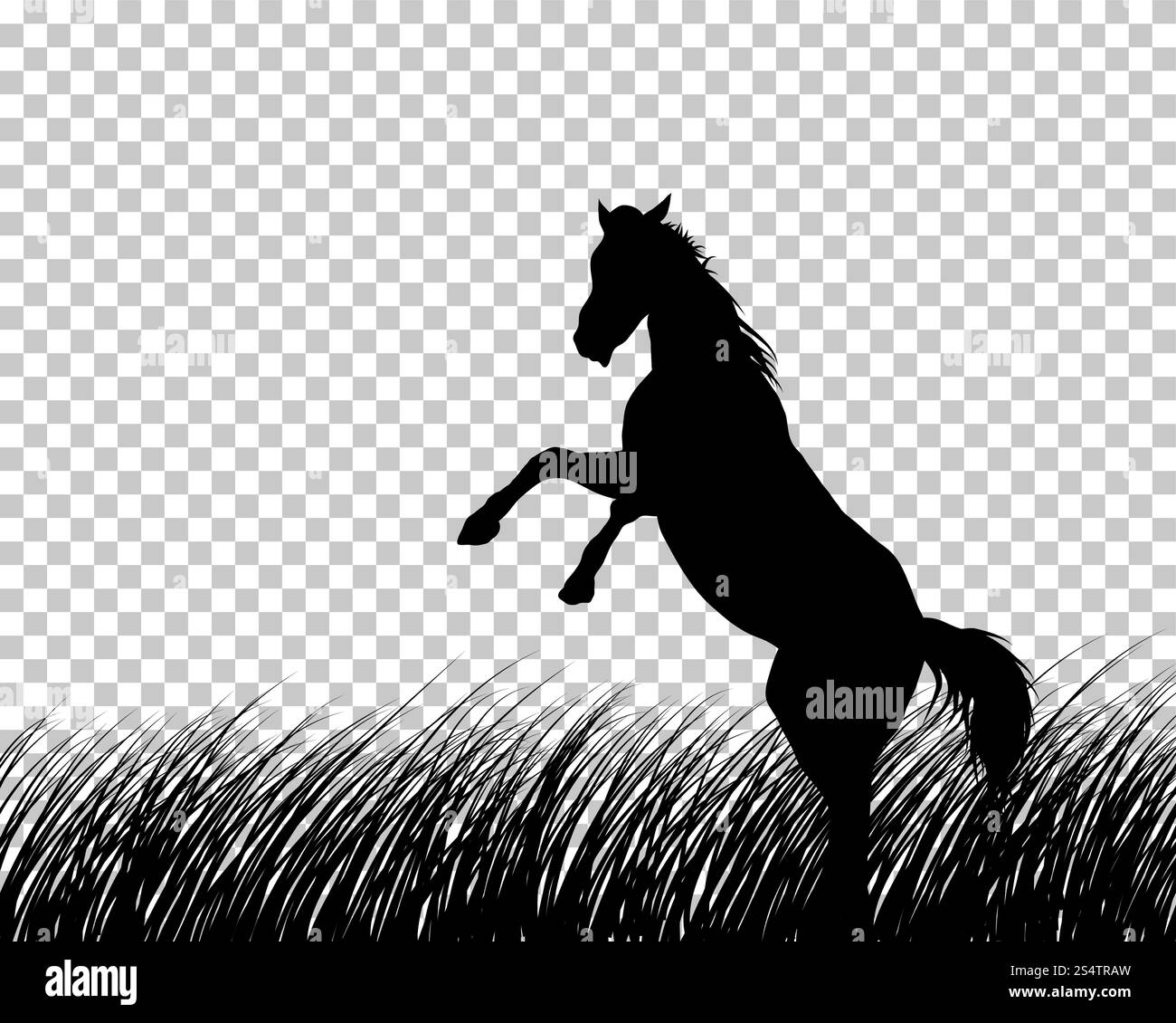 Horse hoof on grass Black and White Stock Photos & Images - Alamy