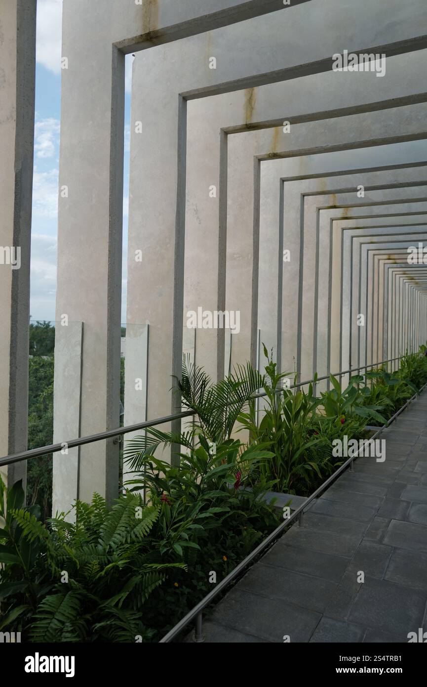 The brand new Tren Maya (Train Maya) in the Yucatán Peninsula, Quintana ...