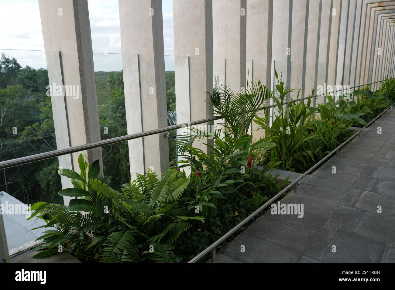 The brand new Tren Maya (Train Maya) in the Yucatán Peninsula, Quintana ...