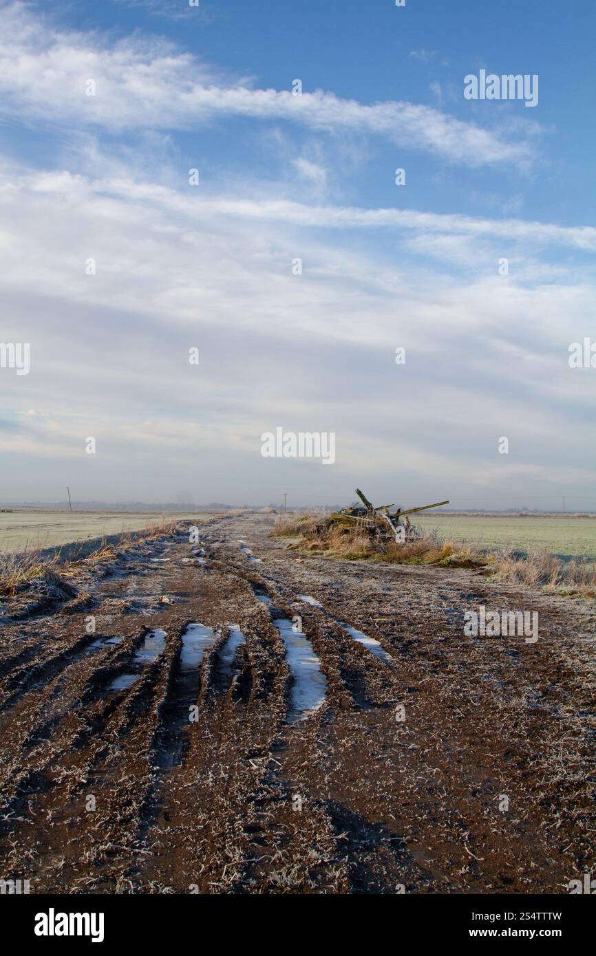 Winter scene in the fens: a wood pile on an icy farm track in the early ...
