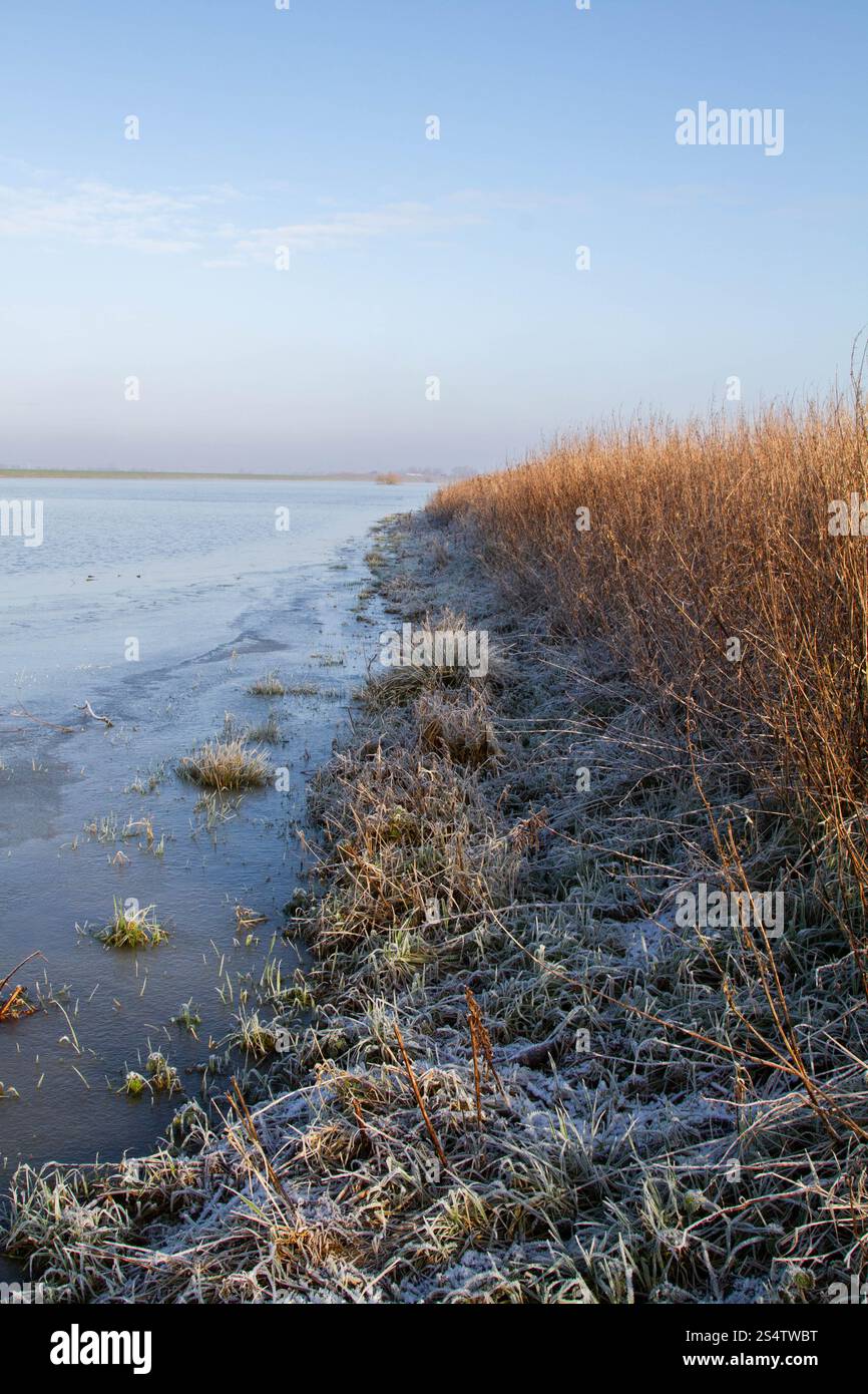 Frozen flood water in the Ouse Washes at Sutton Gault in Cambridgeshire ...
