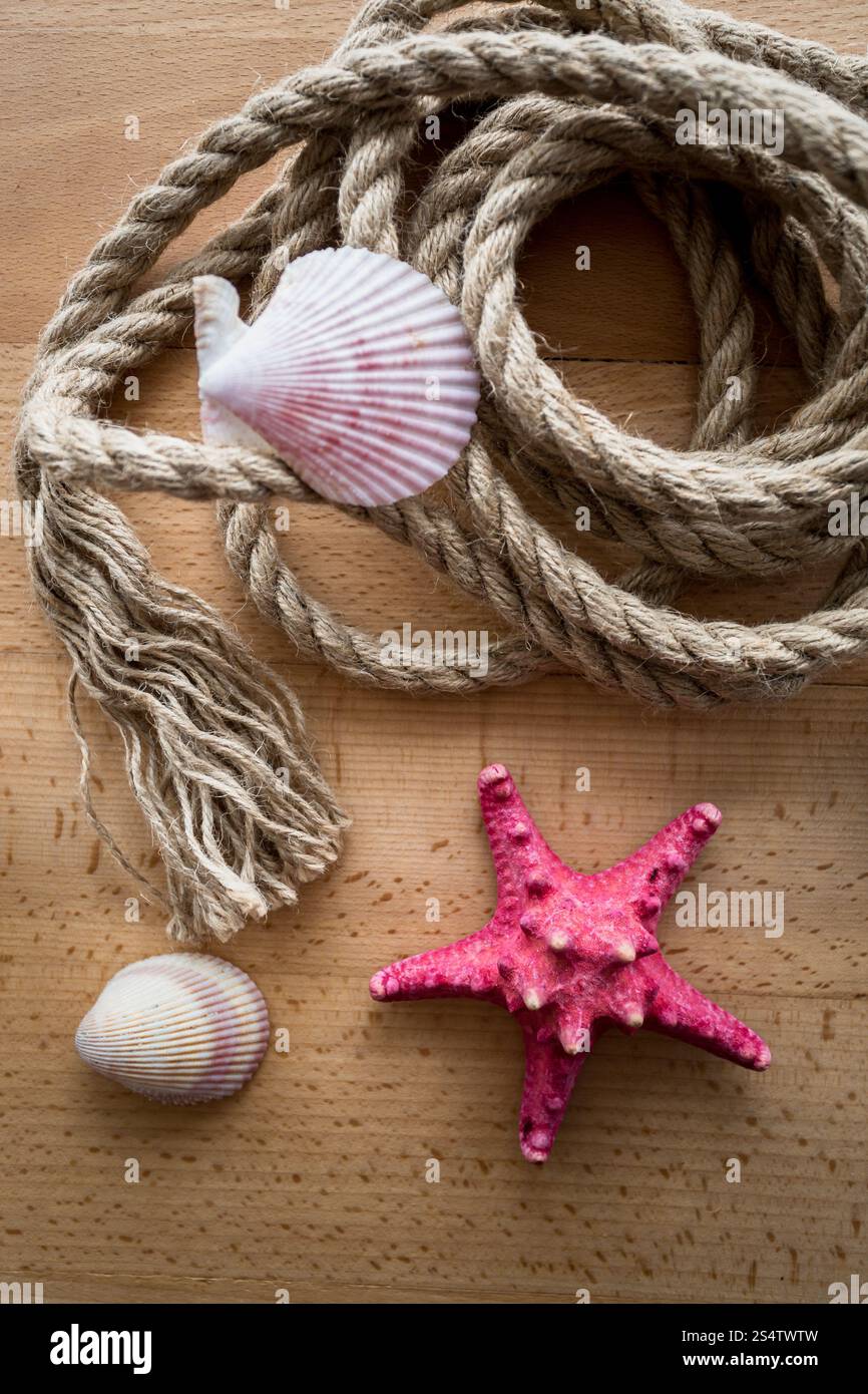 Closeup shot from top of old marine rope and seashells lying on wooden ...