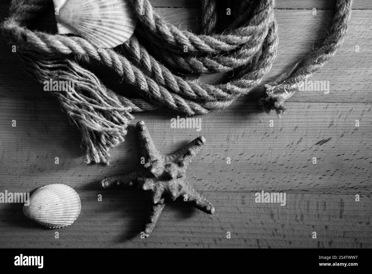 Closeup shot black marine Black and White Stock Photos & Images - Alamy