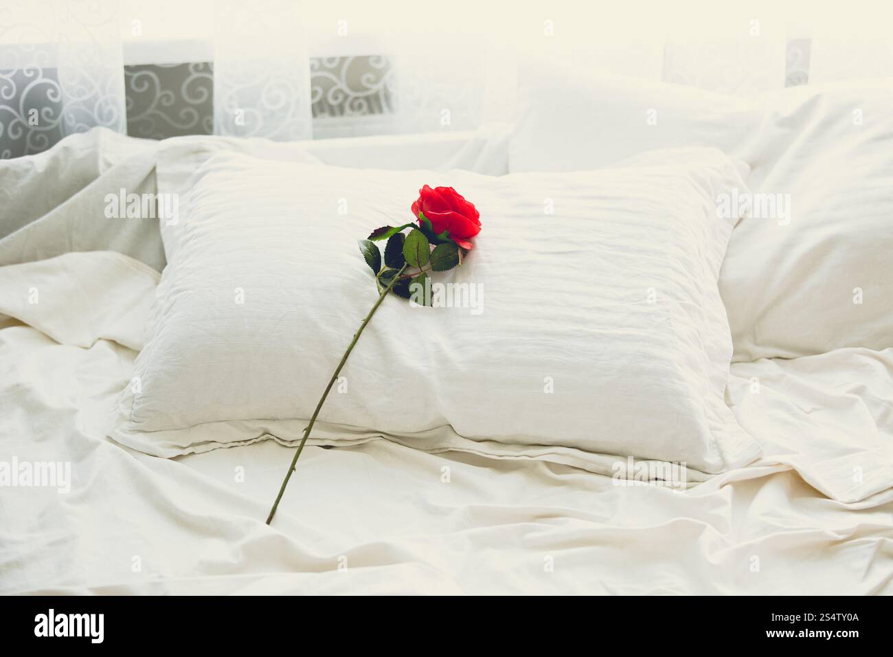 Toned photo of red rose lying on bed at morning Stock Photo - Alamy