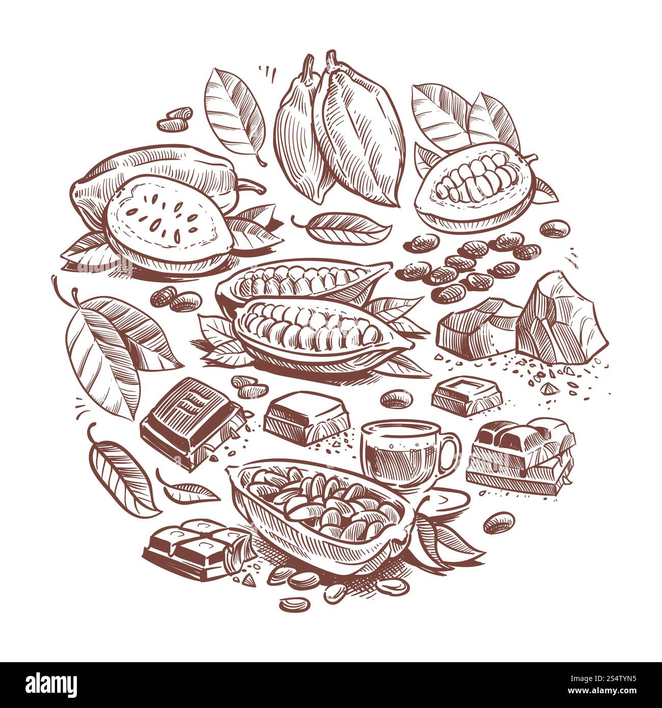Hand drawn cocoa beans, chocolate design. Doodle cacao tree vector ...