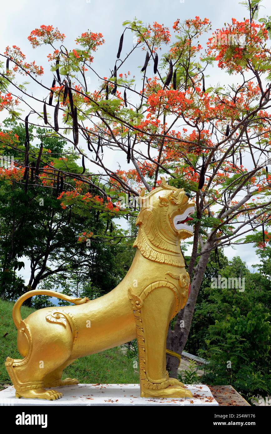 the Wat Phra That Doi Kong Mu Temple on the top of the hill in the ...