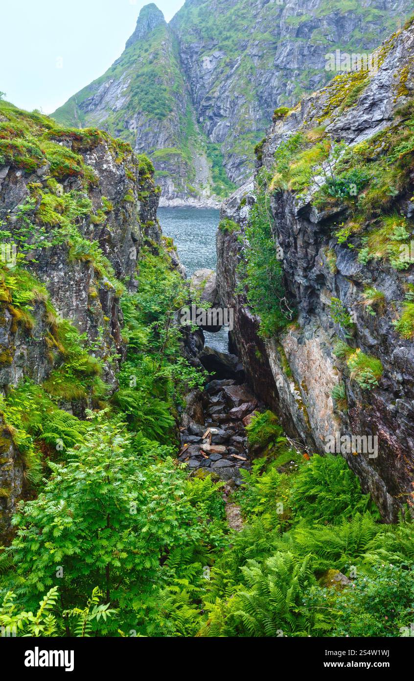 Round stone stuck in the rocks. Summer sea coast (Norway, Lofoten Stock ...