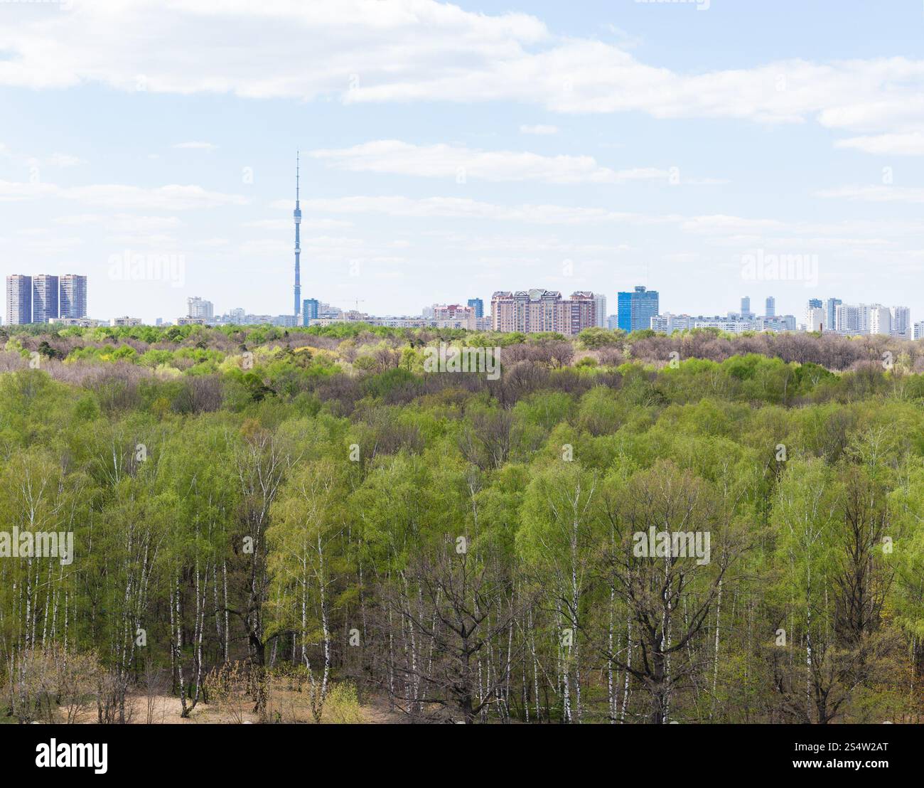 Green forest view hi-res stock photography and images - Alamy