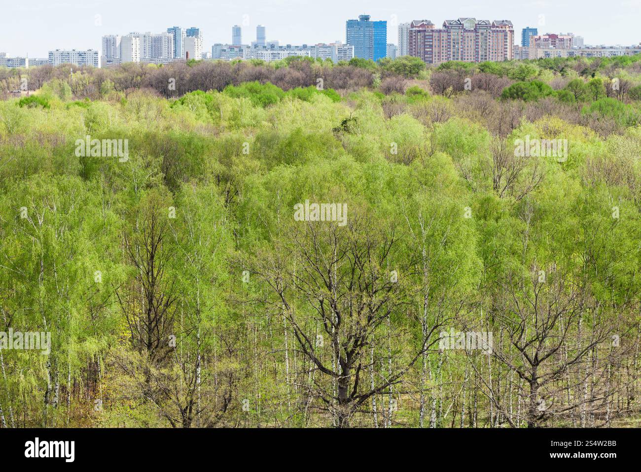 Houses in green district hi-res stock photography and images - Alamy