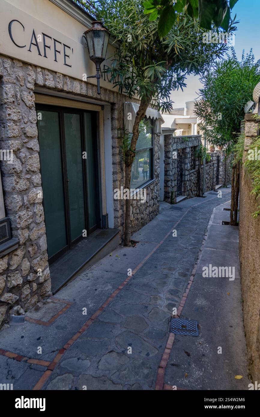 A narrow pedestrian street in the town of Capri, largest town on the ...