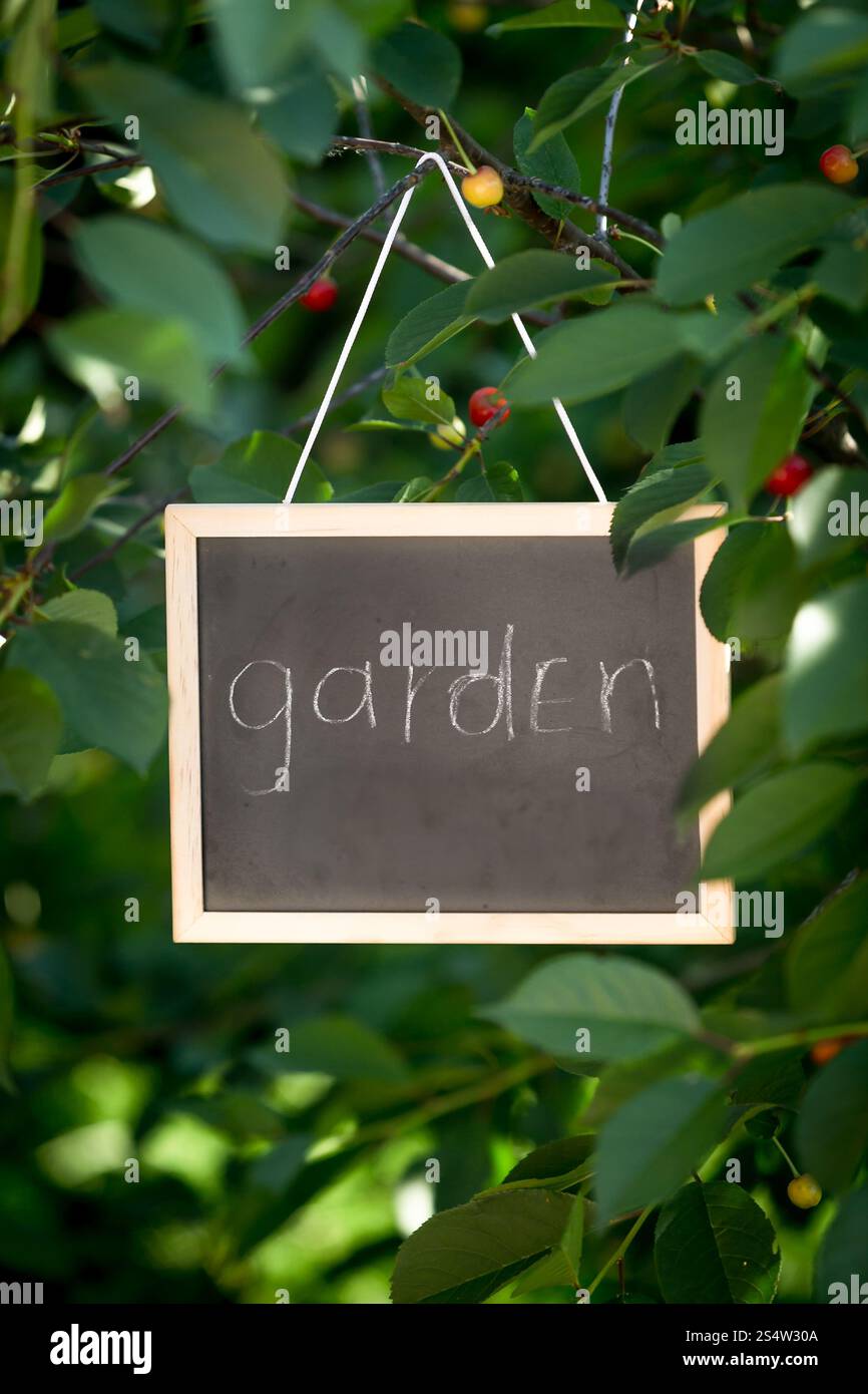 Word "Garden" written on blackboard hanging on tree at garden Stock ...