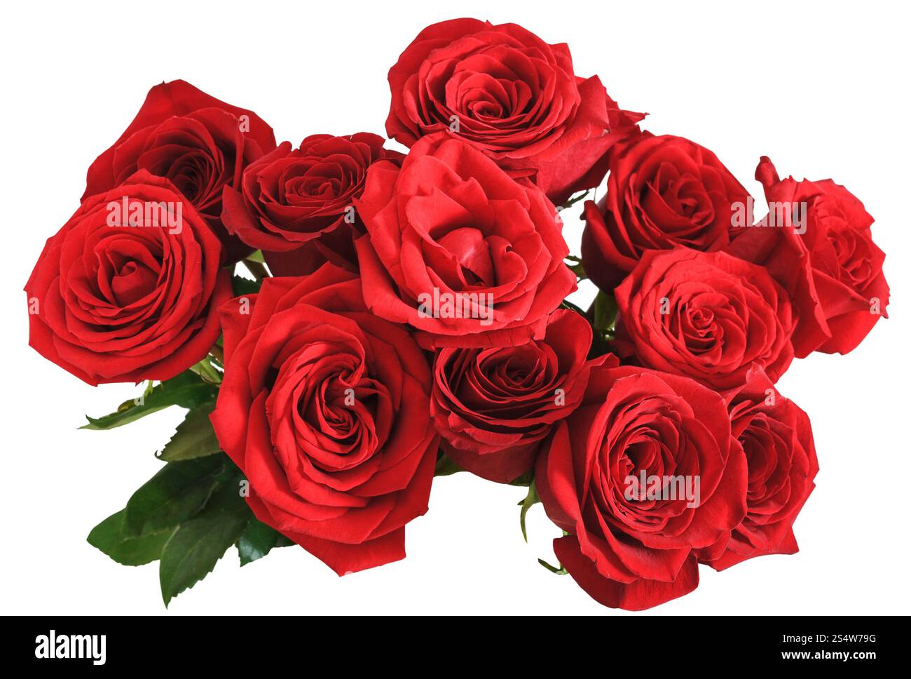 above view of bouquet of red roses isolated on white background Stock ...