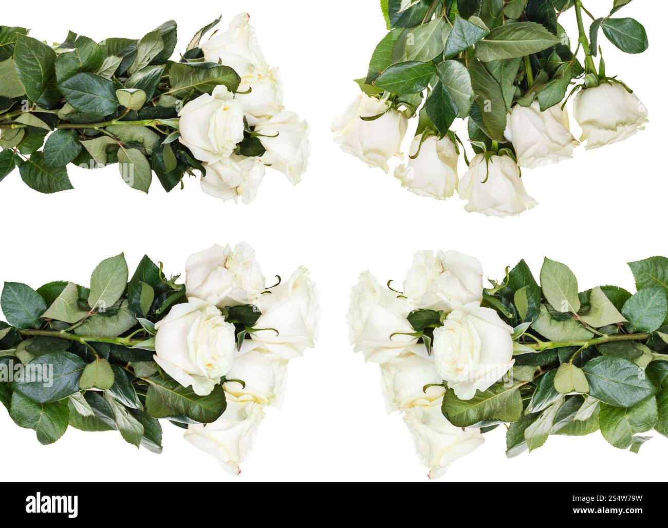 set of white rose bouquets isolated on white background Stock Photo - Alamy