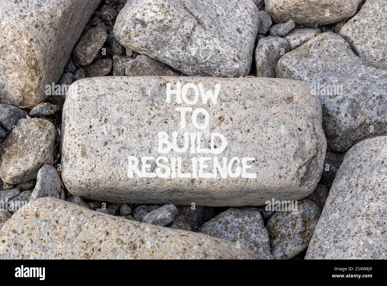 How to build resilience symbol. Concept words How to build resilience ...