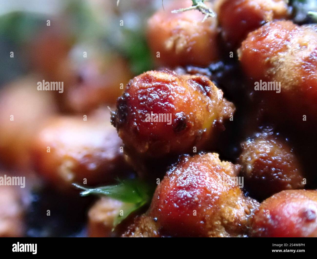 Alder Root Gall Bacteria (Frankia alni Stock Photo - Alamy