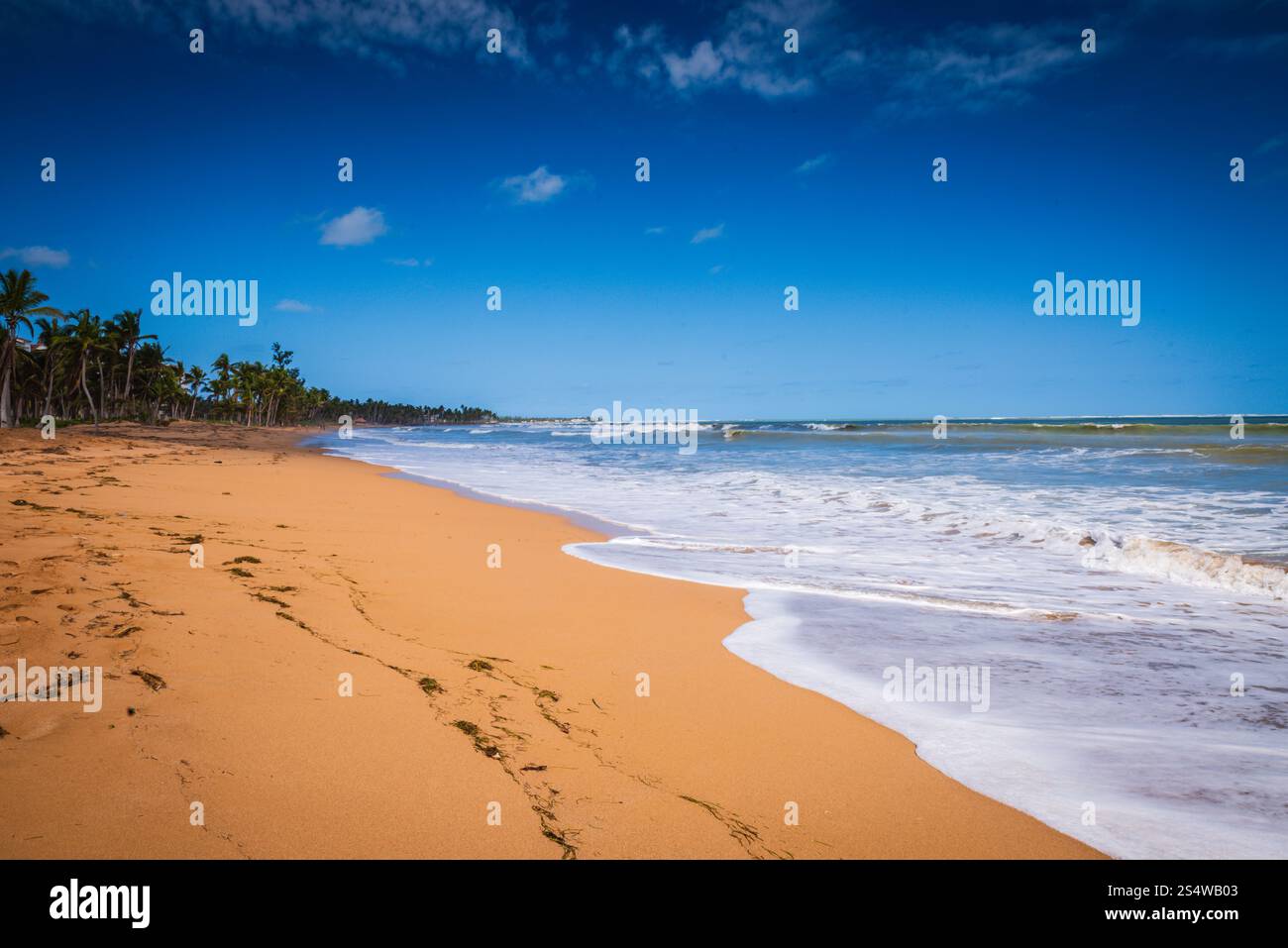 Rio Grande, Puerto Rico - March 7, 2018: Beach at the Wyndham Grand Río ...